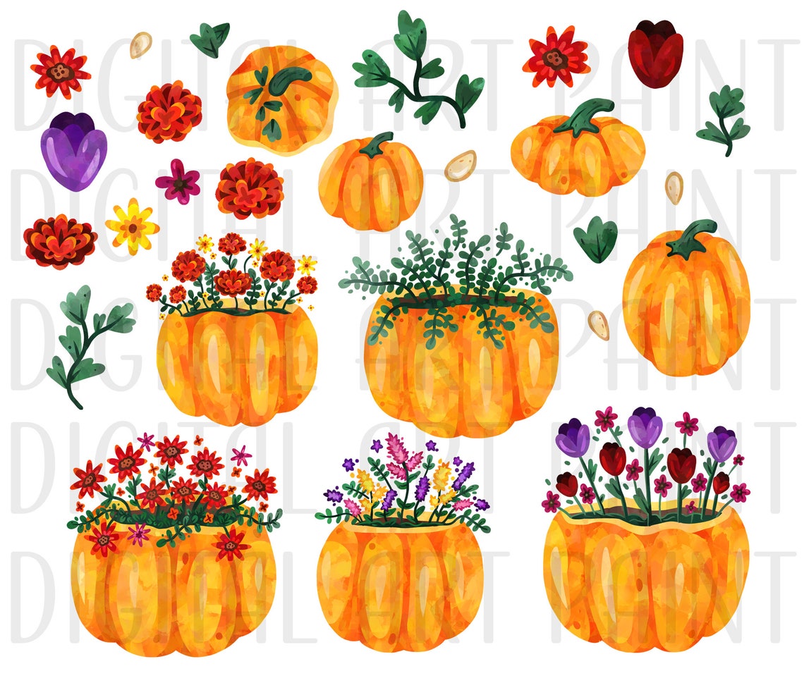 Pumpkin Clipart Fall PNG Autumn Clipart Fall Clipart | Etsy