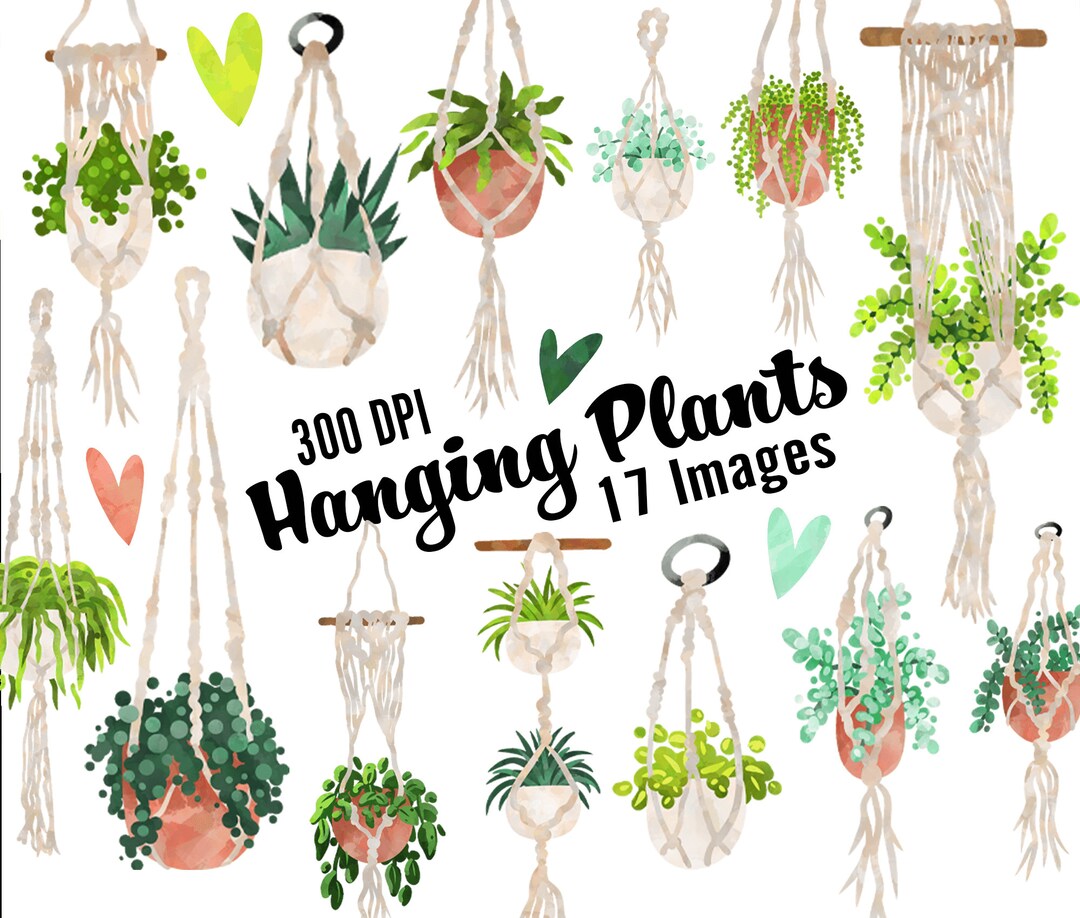 Watercolor House Plants Clipart, Home Greenery Plant Graphics, Cactus ...