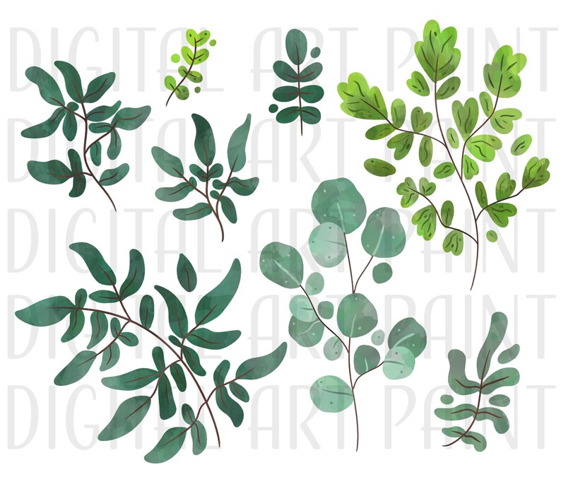 Eucalyptus Clipart Greenery Clipart Fern Clipart | Etsy