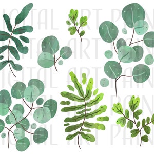 Eucalyptus Clipart Greenery Clipart Fern Clipart Watercolor Greenery ...