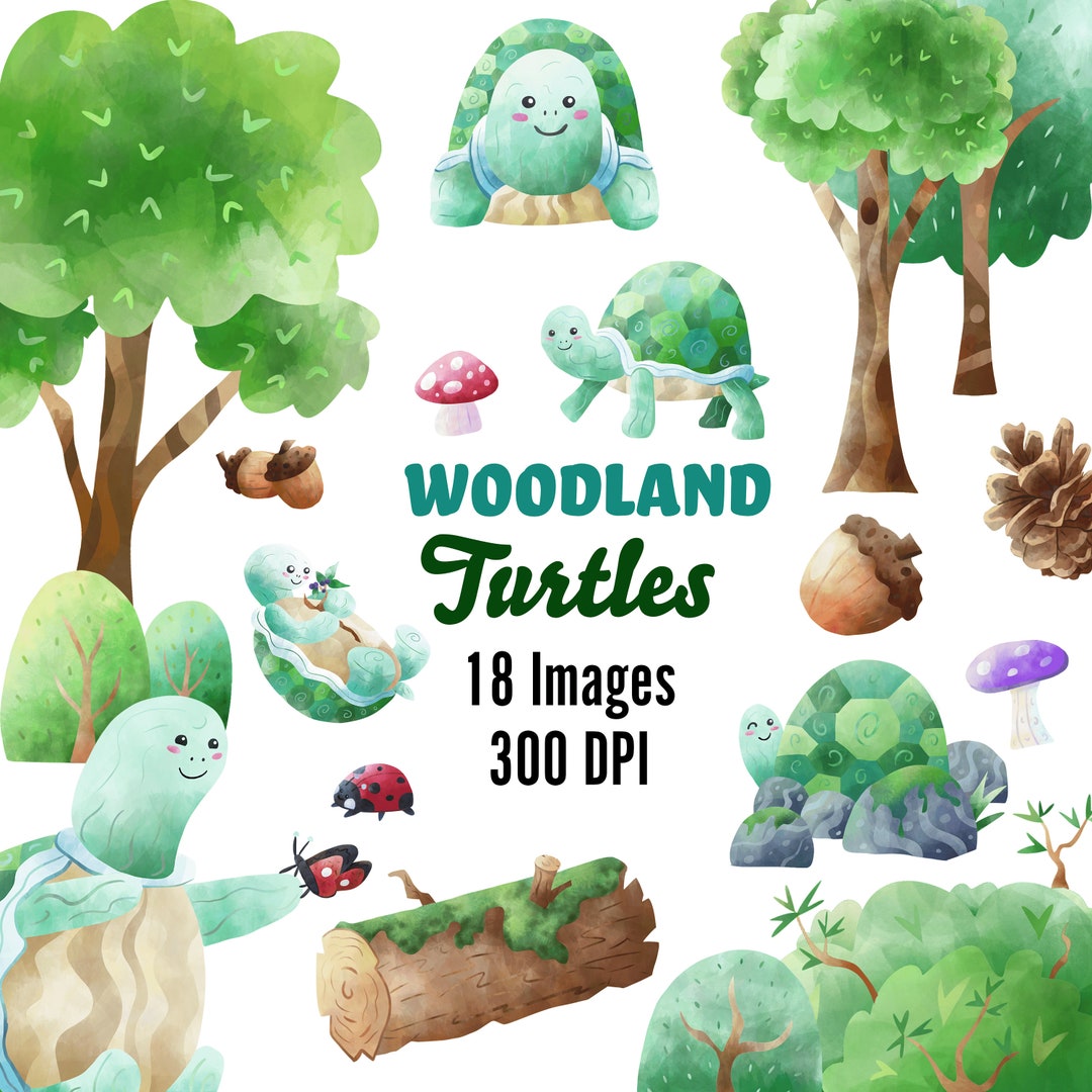 Turtle Clipart Turtles Clipart Watercolor Clipart - Etsy UK