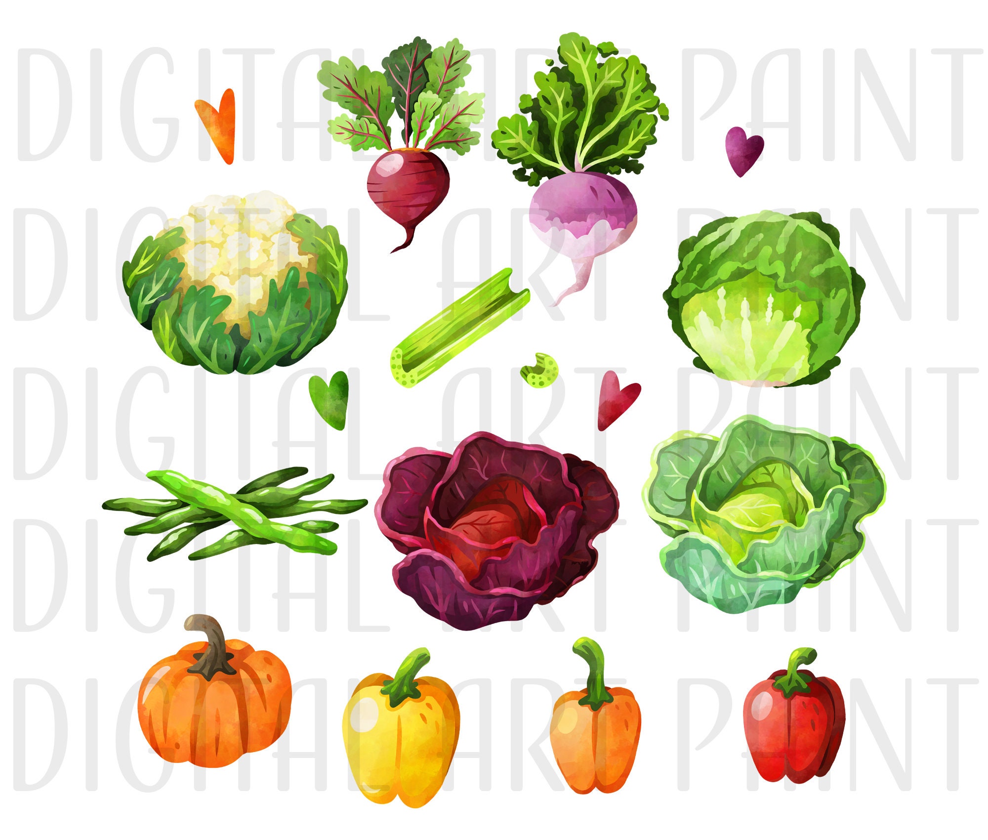 Vegetable Clipart Veggie Clipart Vegetables Clipart Food | Etsy India