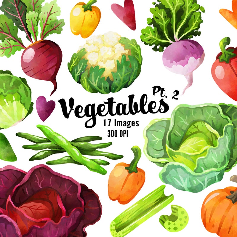 Vegetable Clip Art - Etsy