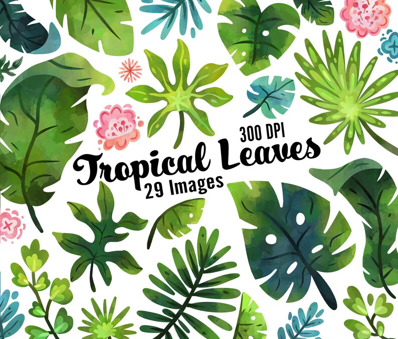 Tropical Leaves Clipart Leaf Clipart Greenery Clipart - Etsy