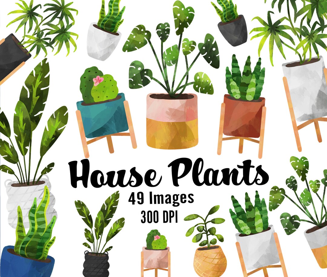 Watercolor House Plants Clipart Home Greenery Plant Graphics - Etsy