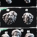 Alternative Heads - 28mm - Wargaming - Resin Models - Fine Detail - Etsy