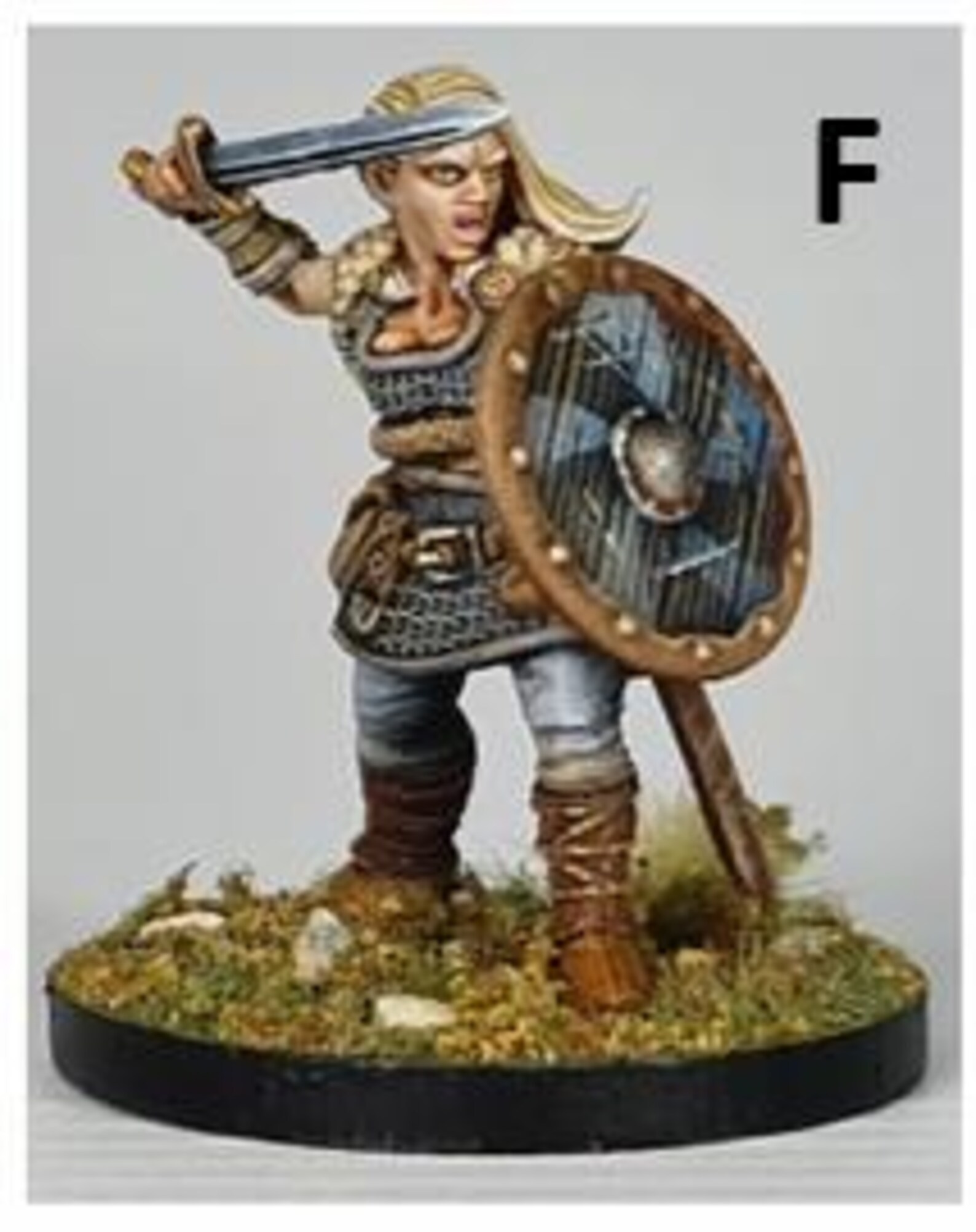 Shield Maidens - Fantasy Tabletop RPG Model - Dnd Tabletop Games ...