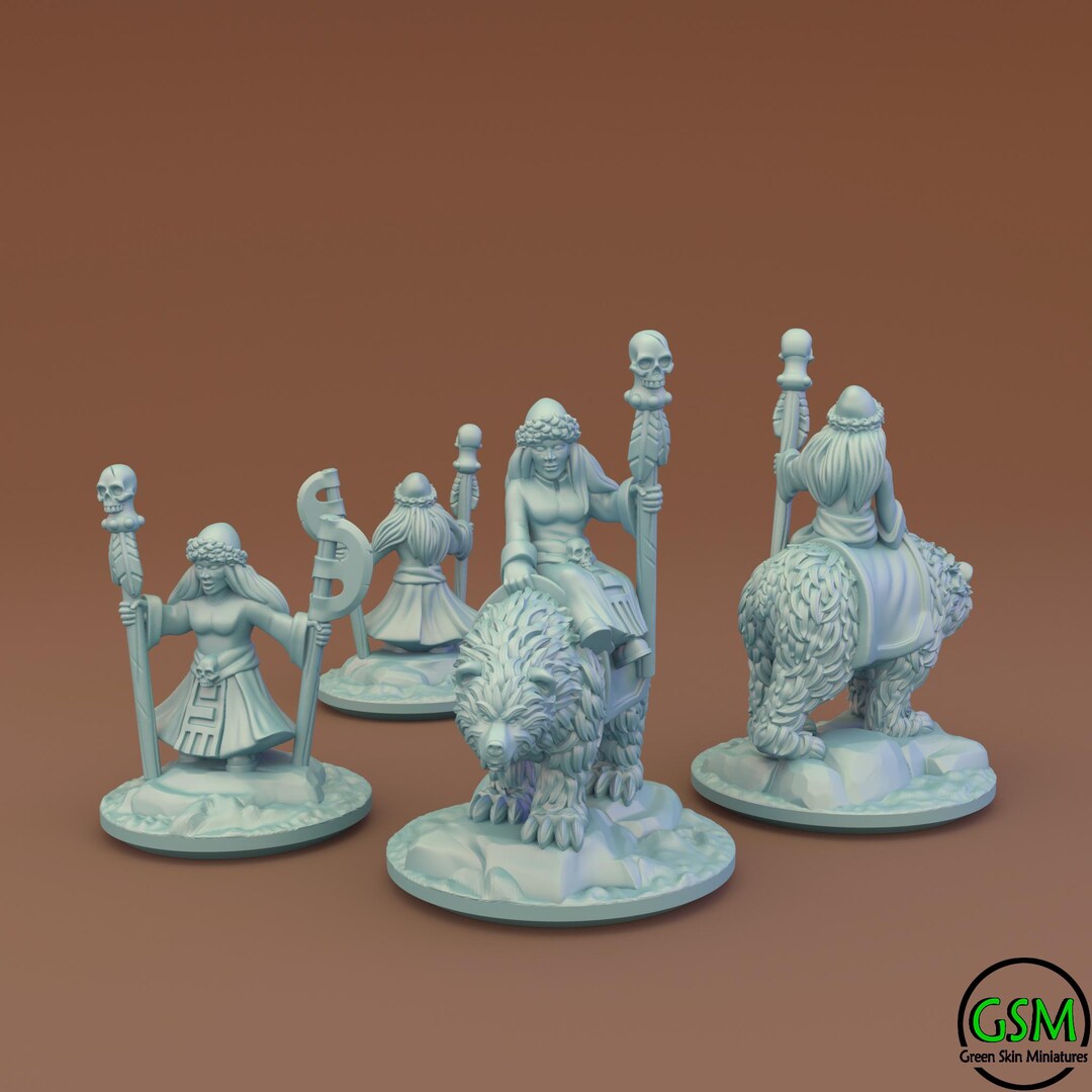 Men of the North - Shaman - Revolution - Detailed Miniatures 10mm - Etsy