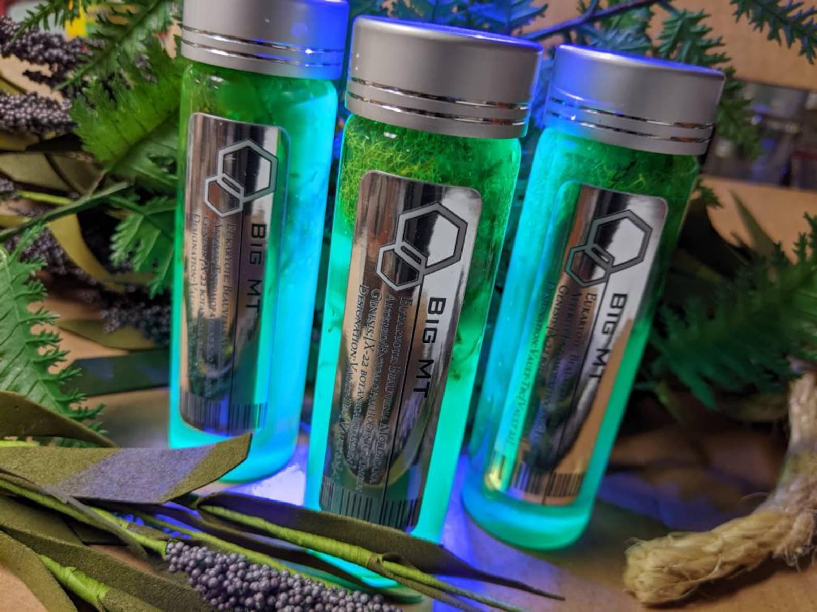 Fallout New Vegas BIG MT VIAL Beuveria Mordicana - Etsy