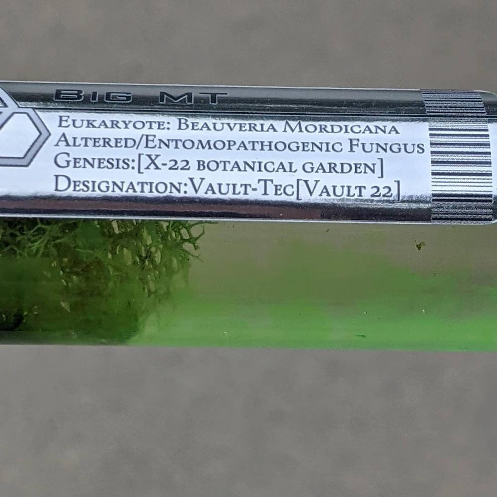 Fallout New Vegas BIG MT VIAL Beuveria Mordicana - Etsy