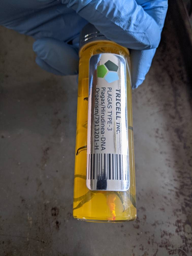 Resident Evil Plagas Type-3 - Etsy