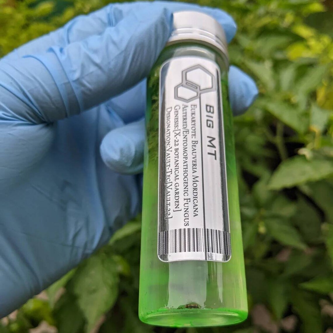 Fallout New Vegas BIG MT VIAL Beuveria Mordicana - Etsy