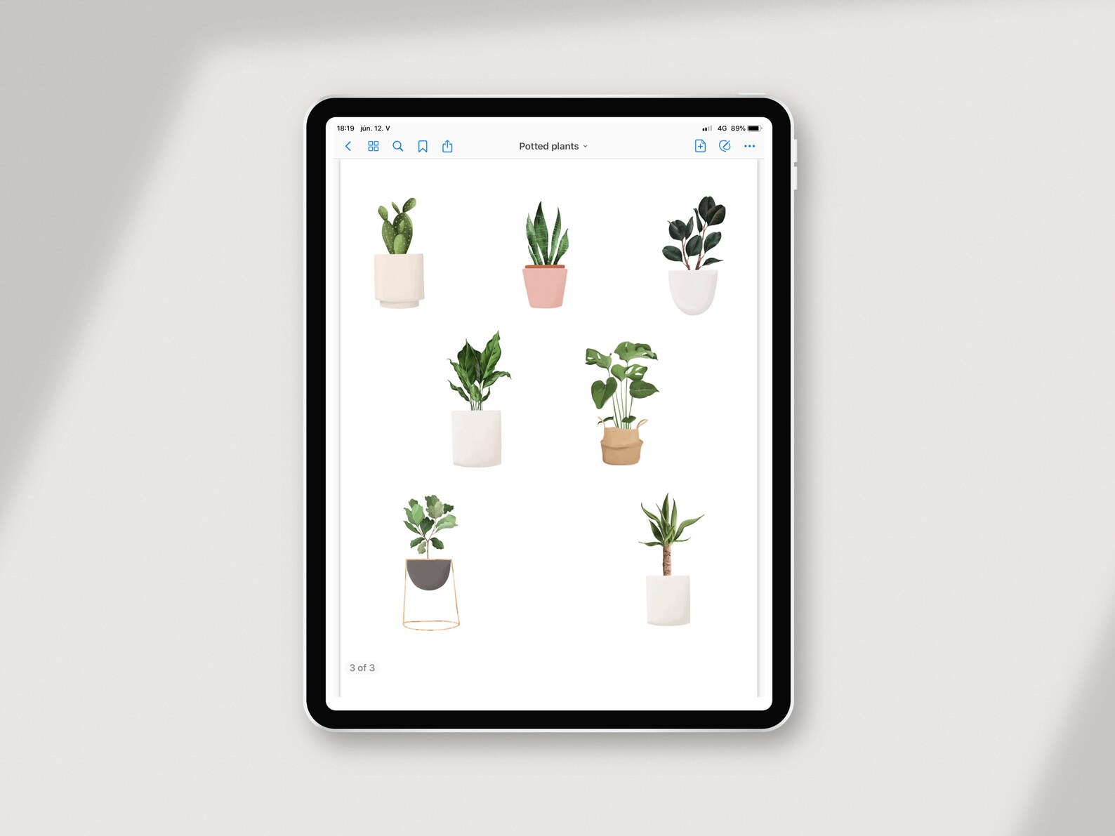 Potted Plants Digital Stickers, Plants Digital Planner, Digital ...