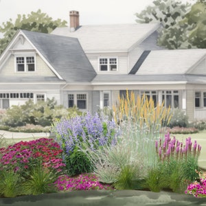 Prairie Garden Plan: Full Sun Native Planting Scheme (PDF) - Etsy