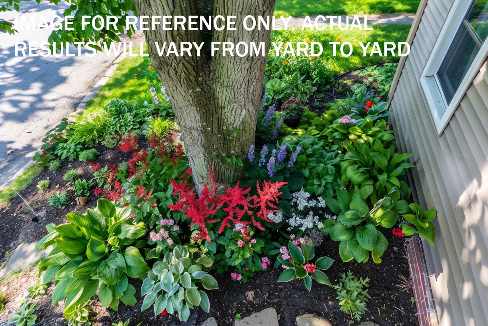 Shade Tree Base Spring Garden Plan – Tree Root Landscape Design PDF ...