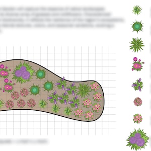 Low Maintenance Garden Design Plan | Easy Care Planting Layout PDF - Etsy
