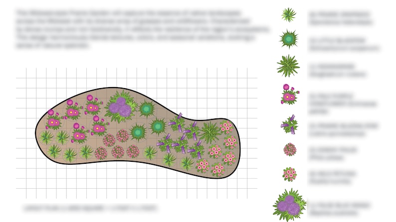 Prairie Garden Plan: Full Sun Native Planting Scheme (PDF) - Etsy