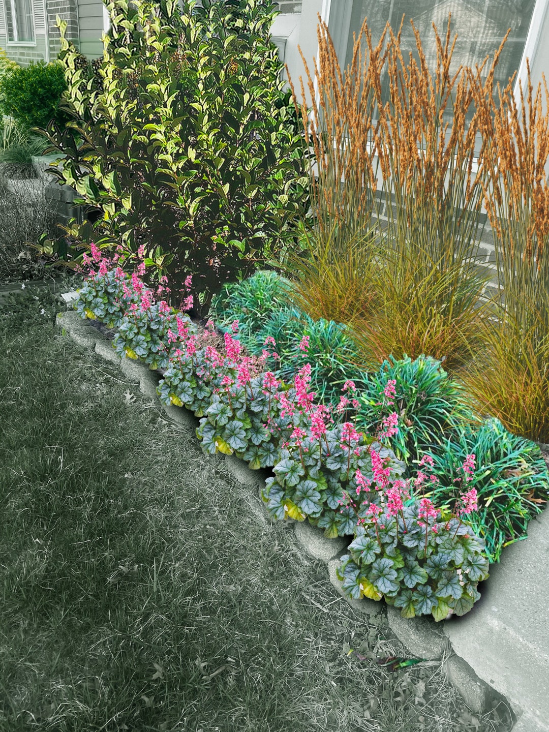 Prairie Style Spring Garden Plan – Pollinator-friendly Native Plant ...