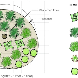 Shade Garden Planting Plan: Tree Base Landscape Design (PDF) - Etsy