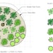 Shade Tree Base Spring Garden Plan – Tree Root Landscape Design PDF ...