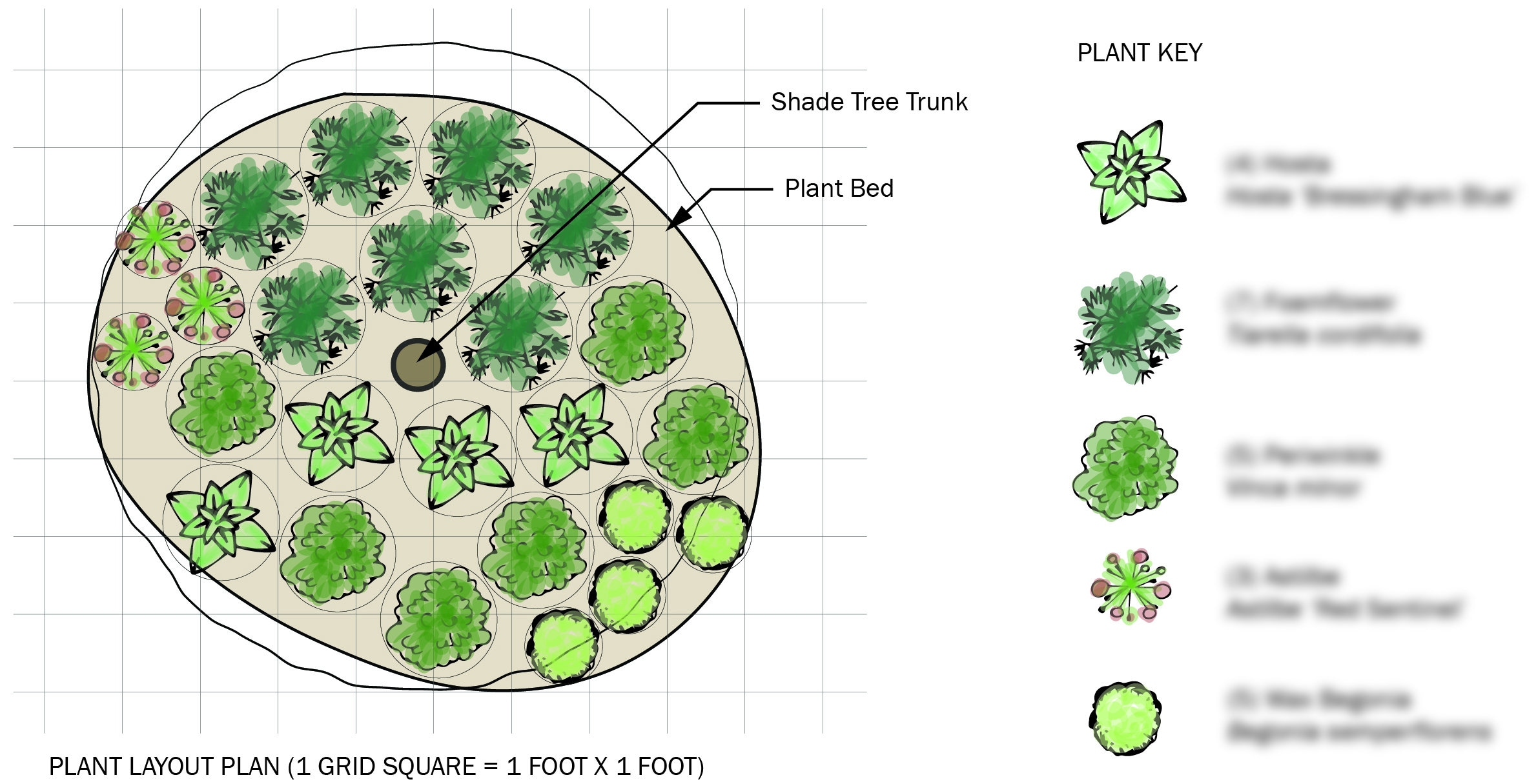 Shade Tree Base Spring Garden Plan – Tree Root Landscape Design PDF ...