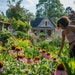 Prairie Garden Plan: Full Sun Native Planting Scheme (PDF) - Etsy