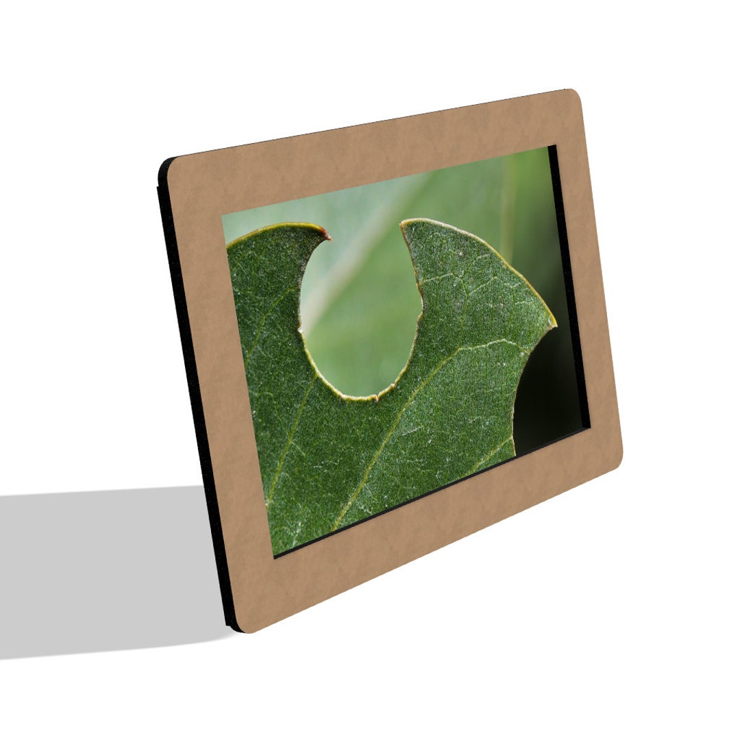 Simple Portrait - Svg, Dxf, Pdf, Cdr, Ai - Vector for Laser Cutting - Etsy