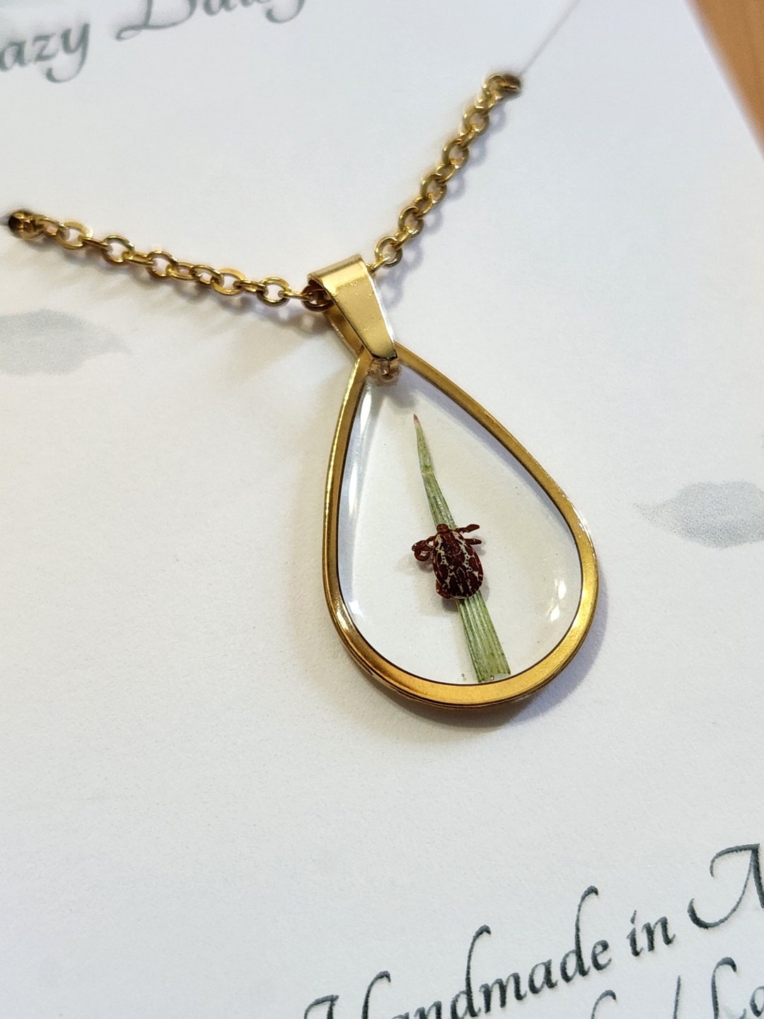 Preserved Tick Necklace, American Dog Tick Necklace, Preserved Insect ...