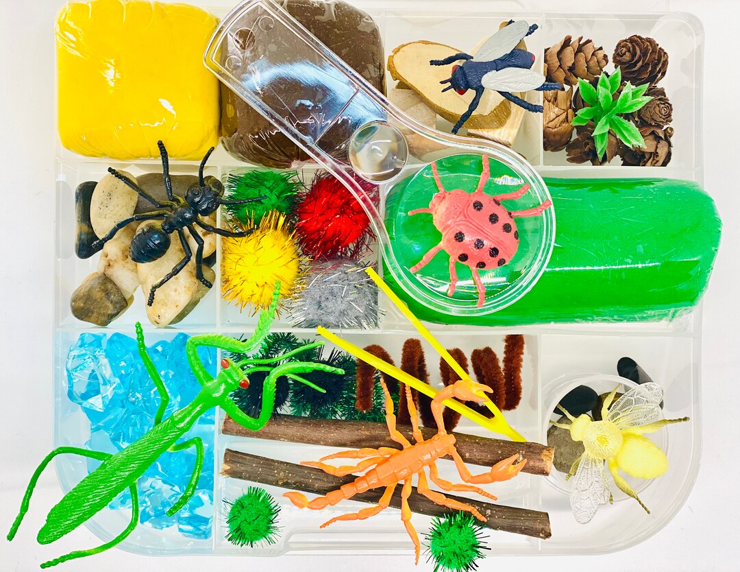 Insect Play Dough Kit Bugs Play Dough Kit Insects Playdough - Etsy