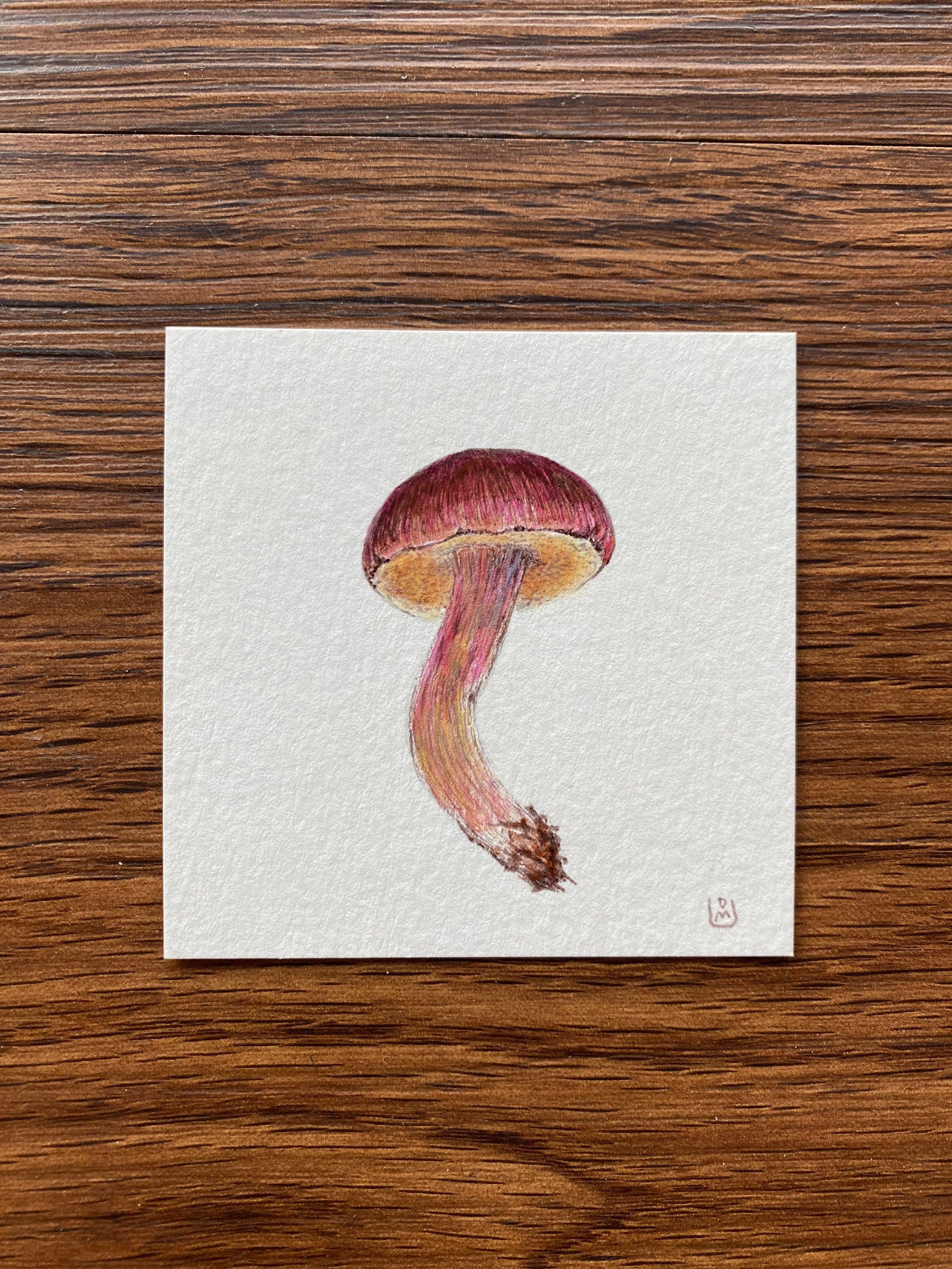 3x3 Curvy Stemmed Mushroom Ink Drawing | Etsy