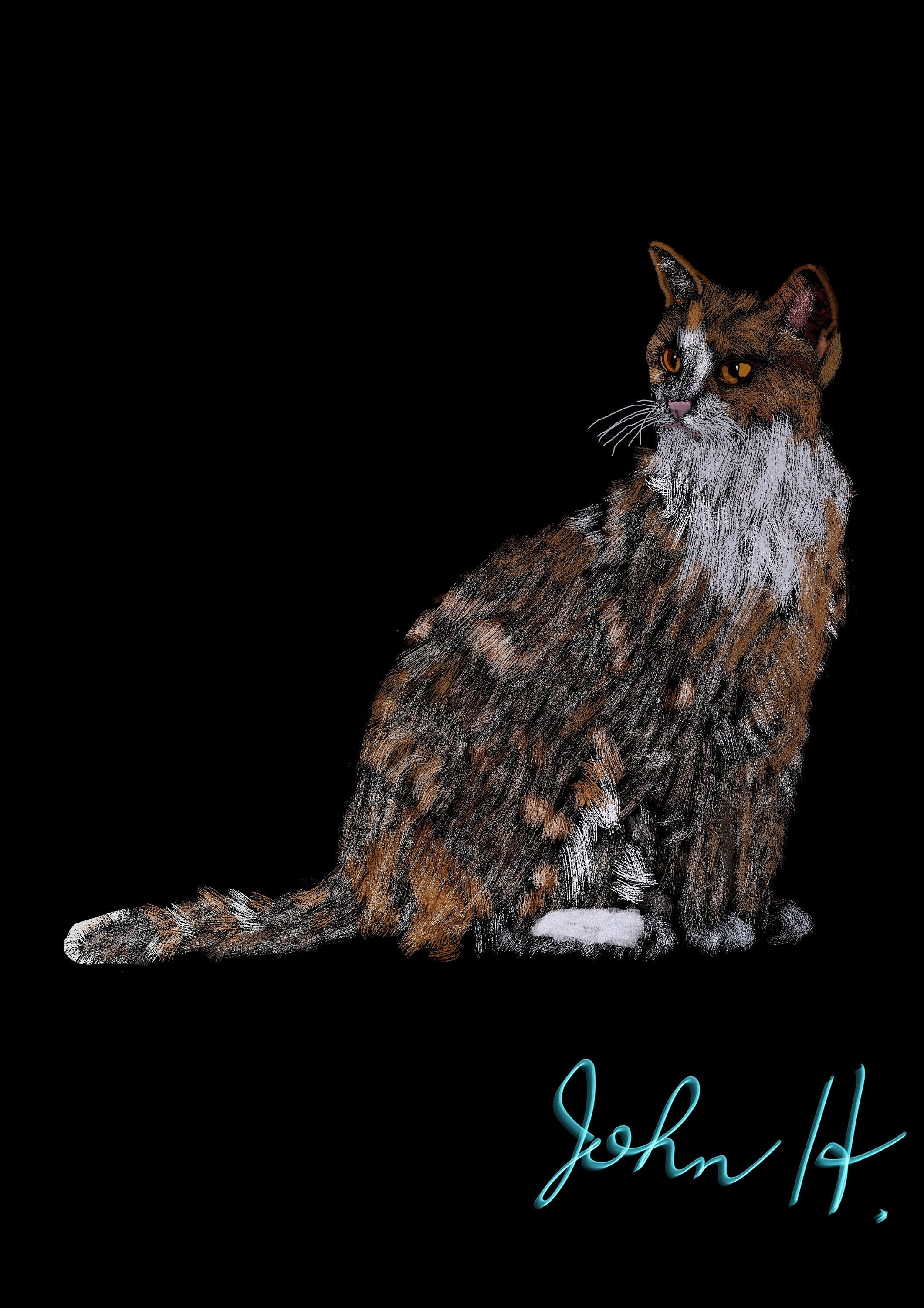 Semi Realistic Cat Drawing, Digital - Etsy