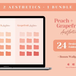 Desktop Icons, Mac Folder Icons, Orange Wallpaper Desktop Organizer ...