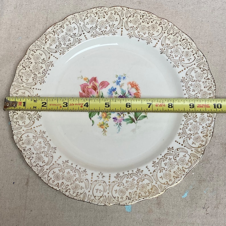 5 Vintage Keystone Canonsburg Pottery “spring Glory” 10” Dinner Plates ...