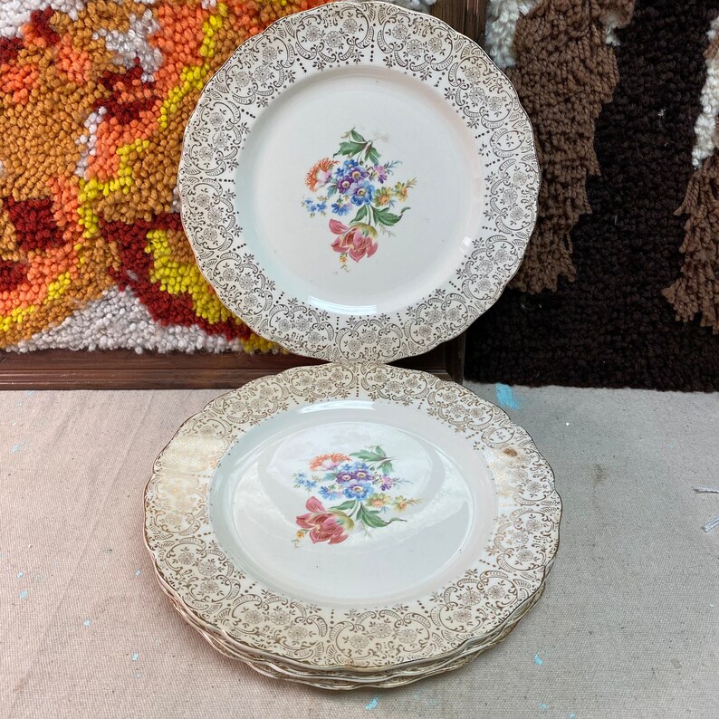 5 Vintage Keystone Canonsburg Pottery “spring Glory” 10” Dinner Plates ...