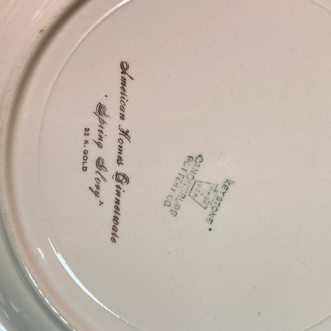 5 Vintage Keystone Canonsburg Pottery “spring Glory” 10” Dinner Plates ...