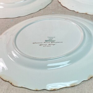 5 Vintage Keystone Canonsburg Pottery “spring Glory” 10” Dinner Plates ...