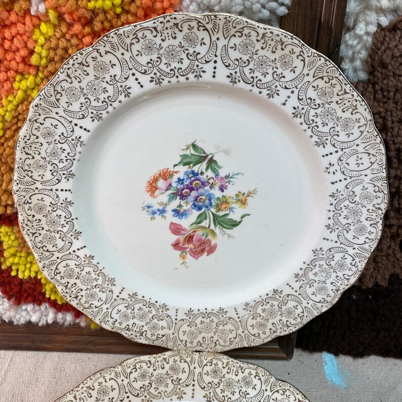 5 Vintage Keystone Canonsburg Pottery “spring Glory” 10” Dinner Plates ...