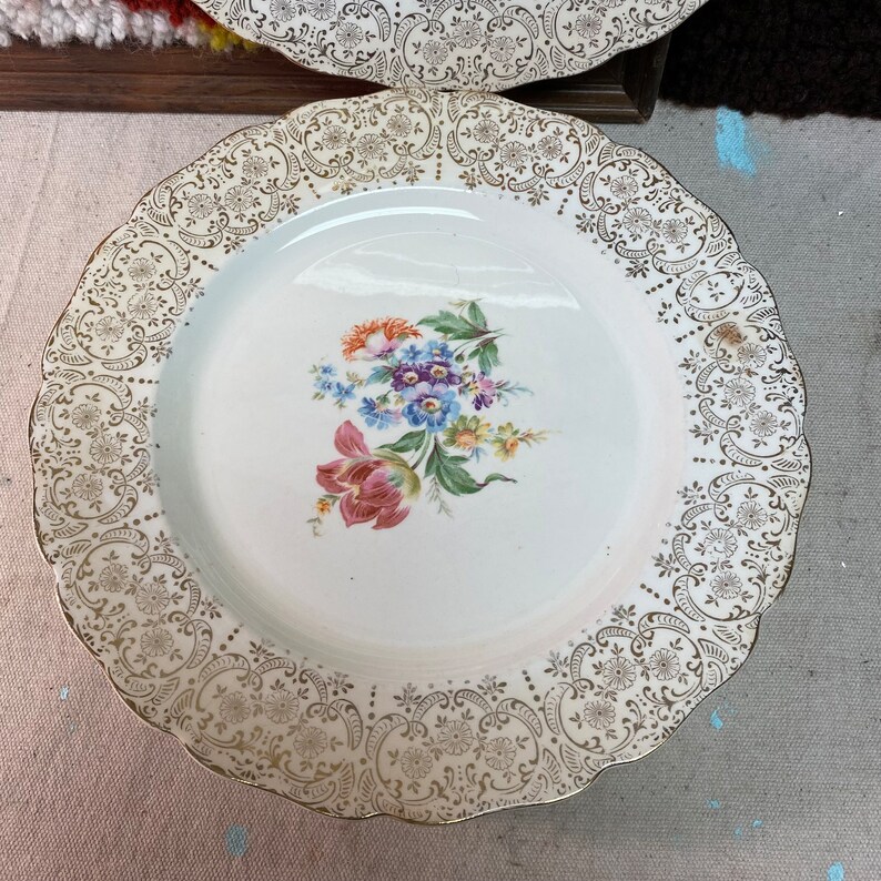 5 Vintage Keystone Canonsburg Pottery “spring Glory” 10” Dinner Plates ...