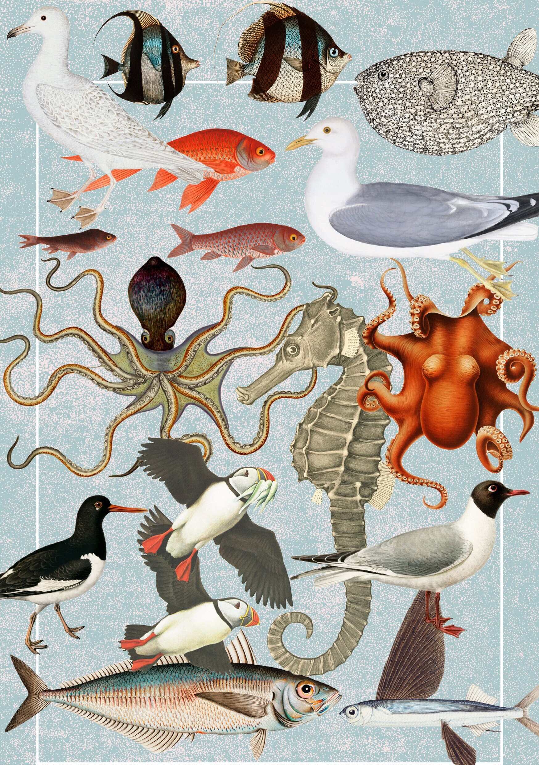 27 Vintage Marine Life Illustrations Cut-out Bundle for - Etsy