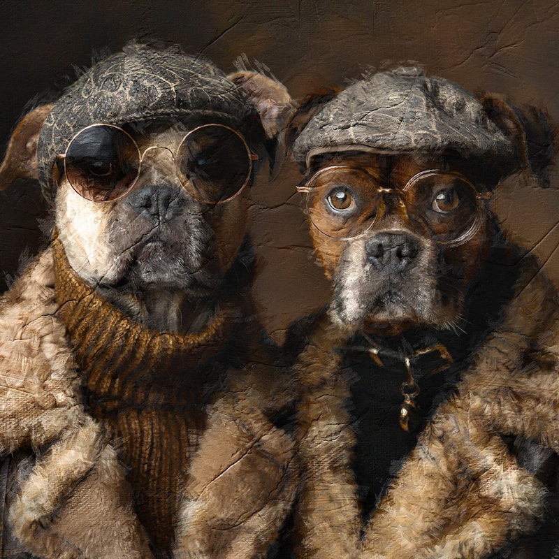 Custom Dog Art - Etsy