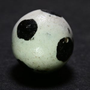German Antique Marble Spotted Dick Hand Painted Unusual China Marble ...