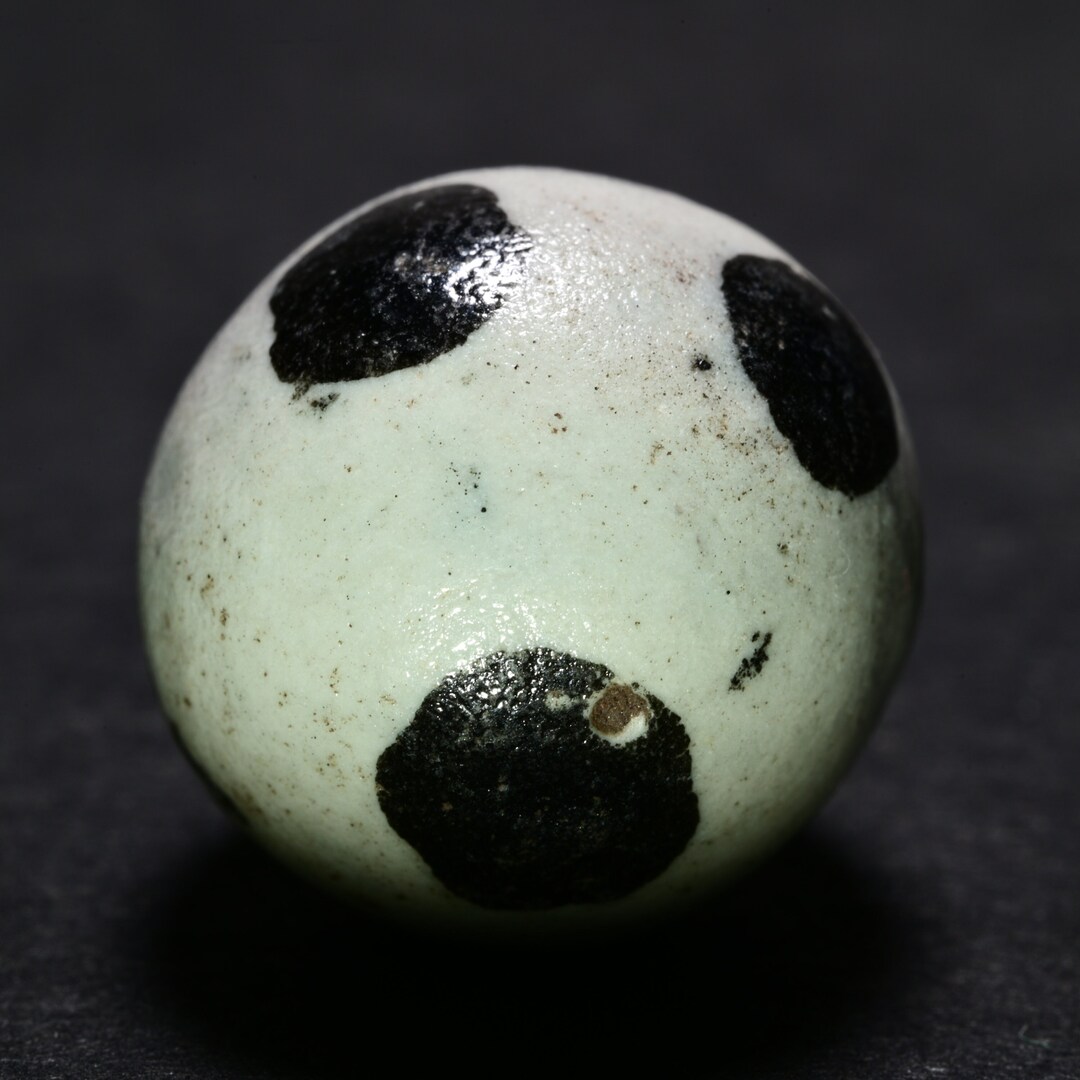 German Antique Marble Spotted Dick Hand Painted Unusual China Marble ...