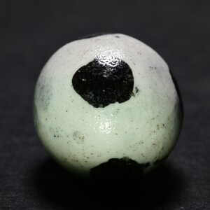 German Antique Marble Spotted Dick Hand Painted Unusual China Marble ...