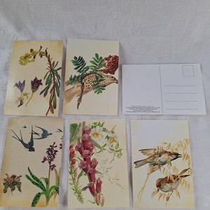 Edith Holden Books and Postcards - Etsy