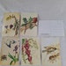 Edith Holden Books and Postcards - Etsy