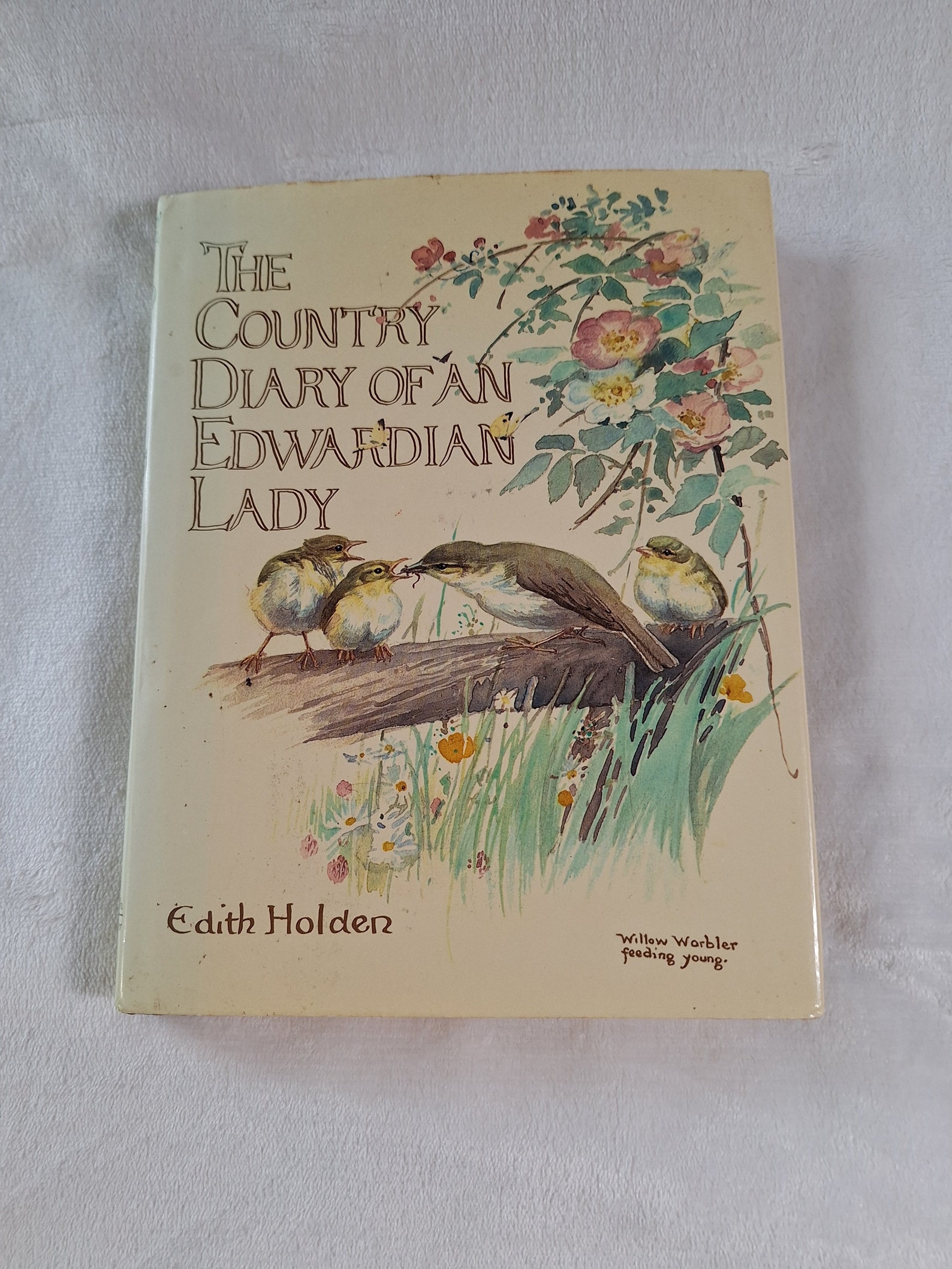 Edith Holden Books and Postcards - Etsy