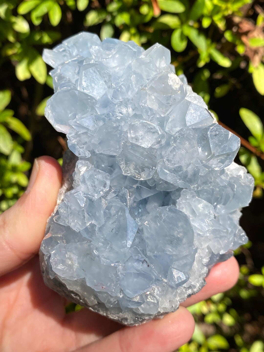 Celestite Geode From Madagascar!! - Etsy