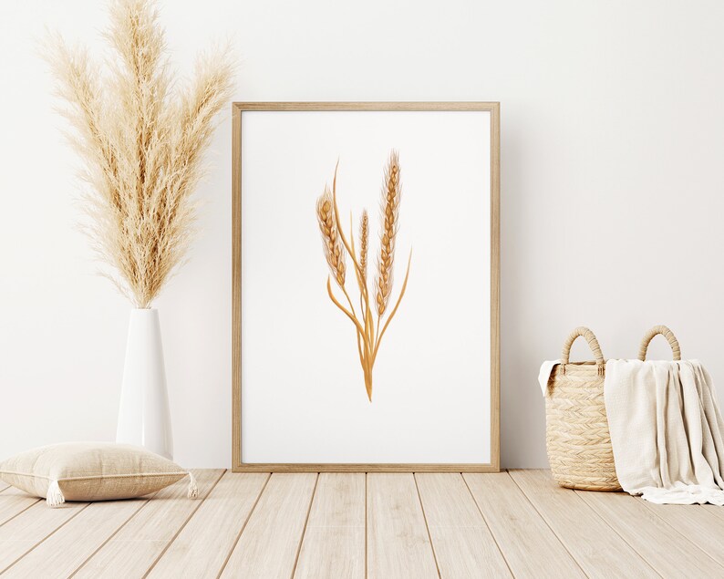Wheat Clipart Set: Boho Floral Grain PNG (22 Files) - Etsy Canada