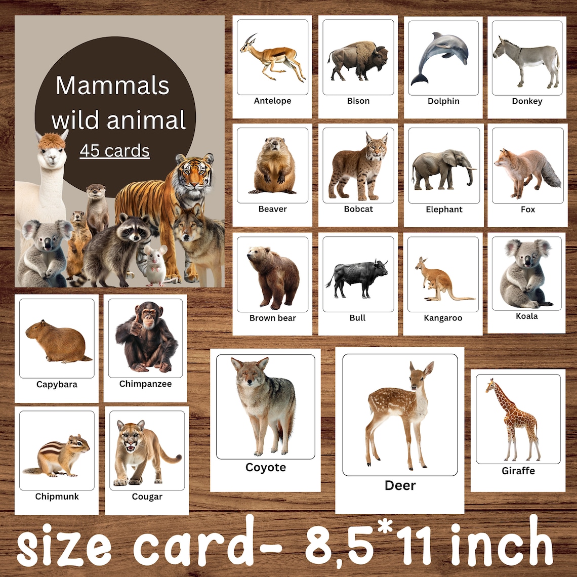 Wild Animals Card, Editable Montessori Cards,flash Cards Nomenclature ...