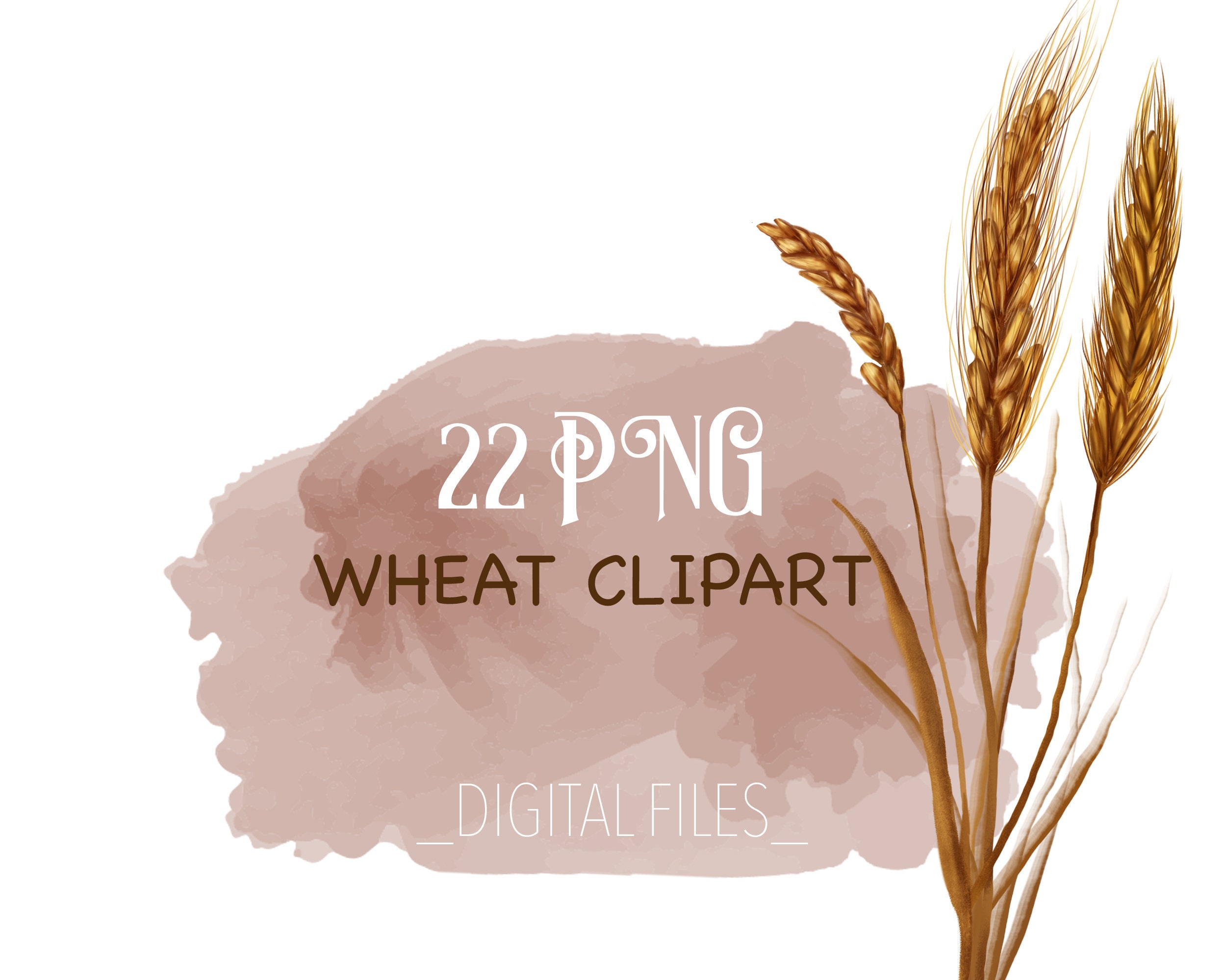 Wheat Clipart Set: Boho Floral Grain PNG (22 Files) - Etsy Canada